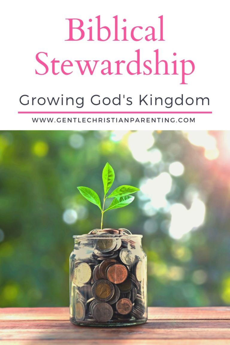 What It Means to Be a Good Steward in the Bible with Examples
