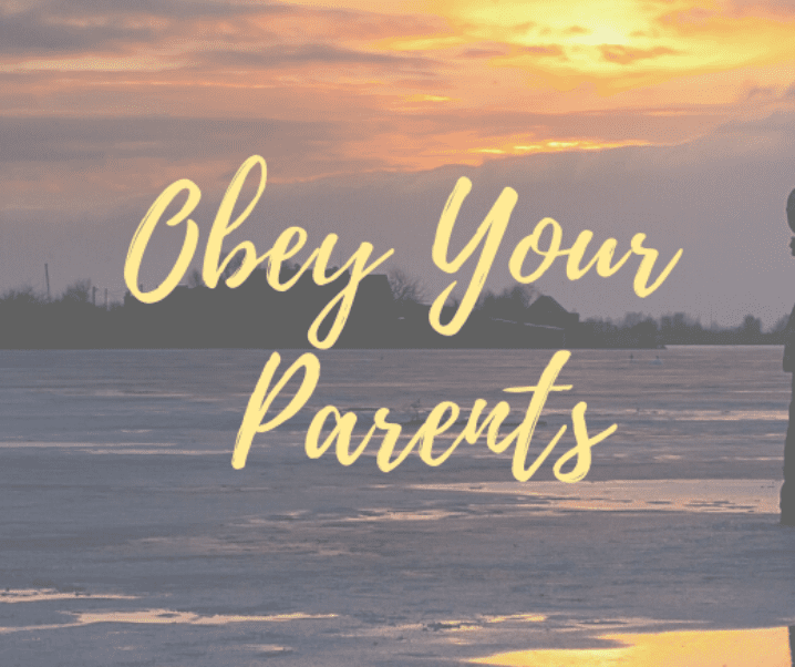 The Godly Parent - 7 Principles for Building a God Honoring Home
