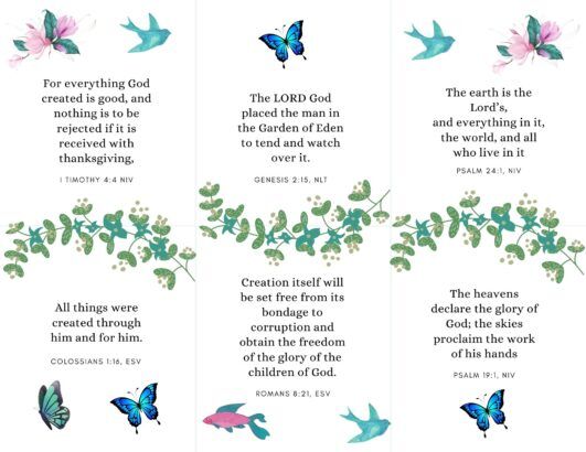 Bible Verse Cards - Free Printable Scripture Cards